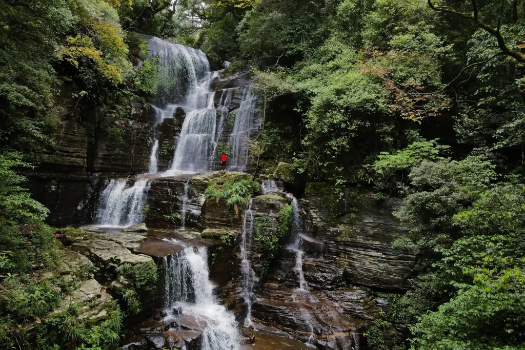 Ultimate Knuckles Range Hiking Guide: 12+ Amazing Trails
